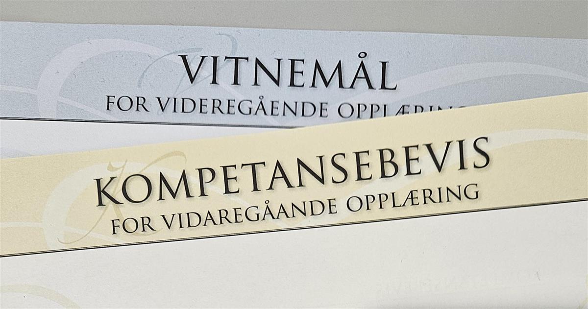 Skriflige eksamenskarakterer publiseres i VIS 21.06. kl. 21 - Dalane ...